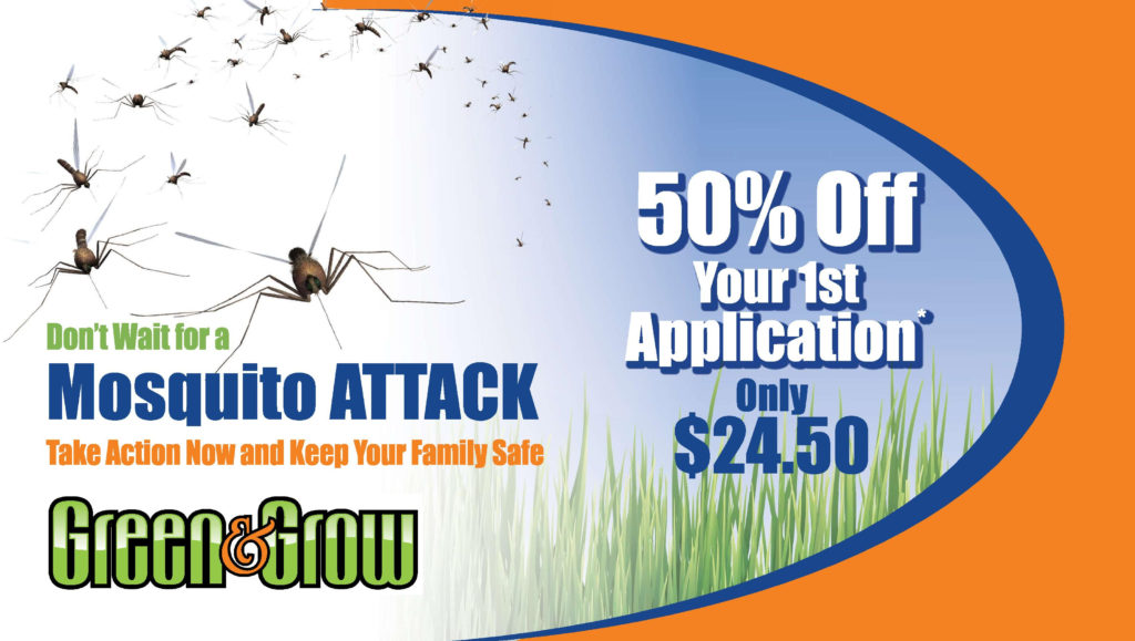 Mosquito Treatment for a Pest-Free Yard